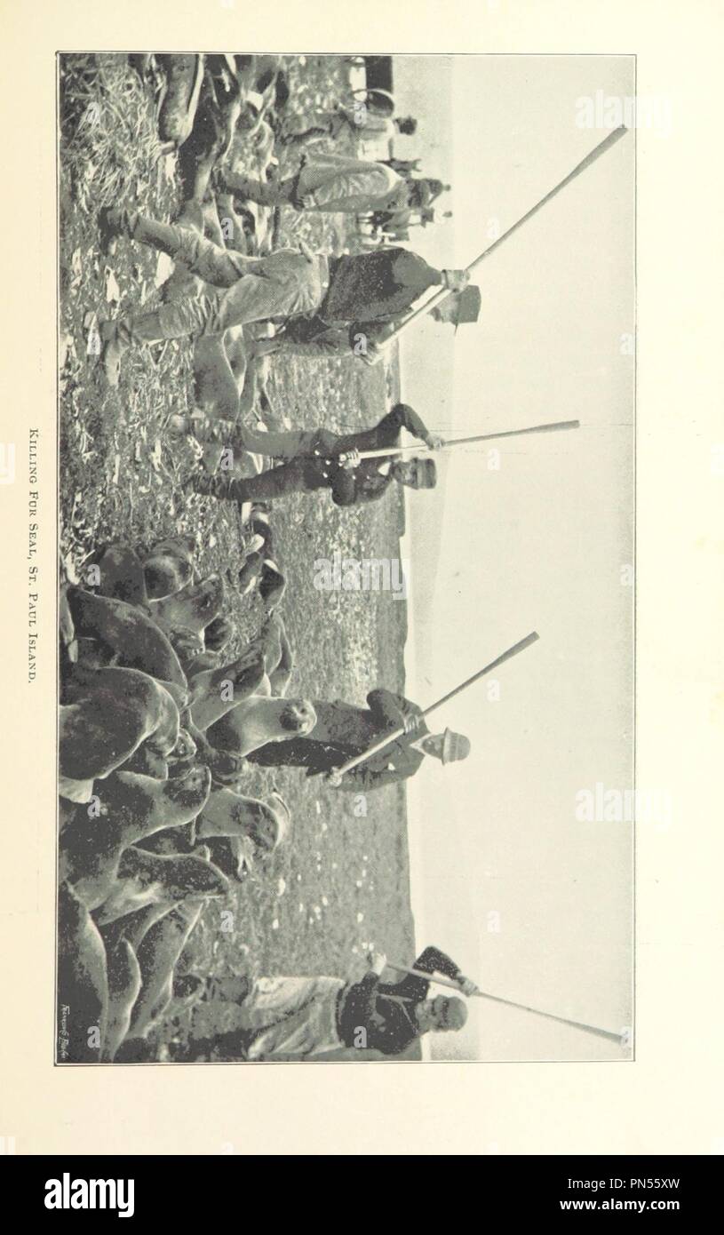 Image from page 95 of 'Alaska; its history and resources, gold fields ...