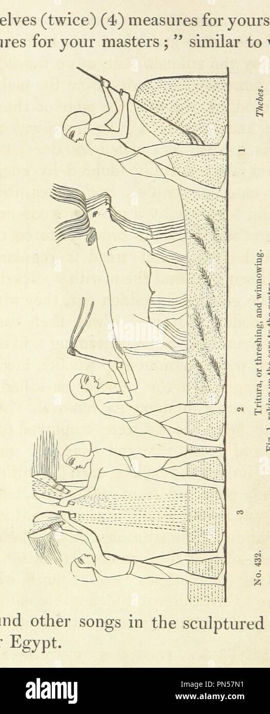Image from page 124 of '[Manners and Customs of the ancient Egyptians ...
