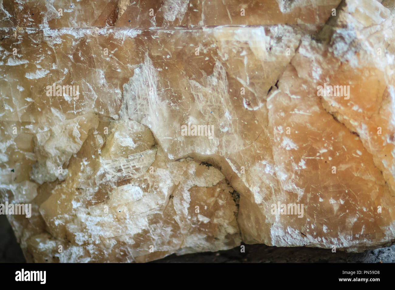 Limestone matrix hi-res stock photography and images - Alamy