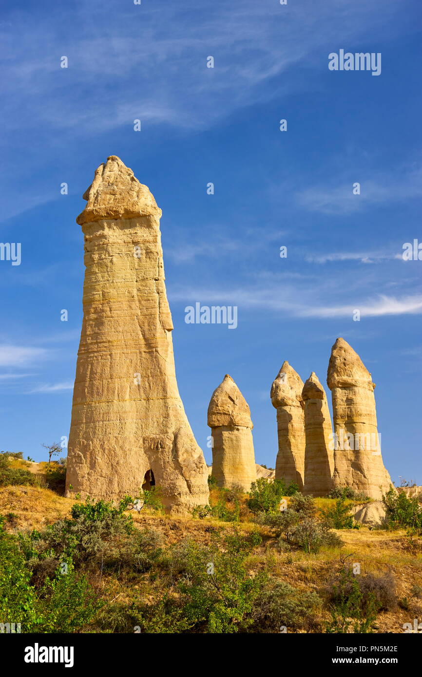 Fairy Chimneys rock formation in Love Valley, Cappadocia, Turkey Stock ...