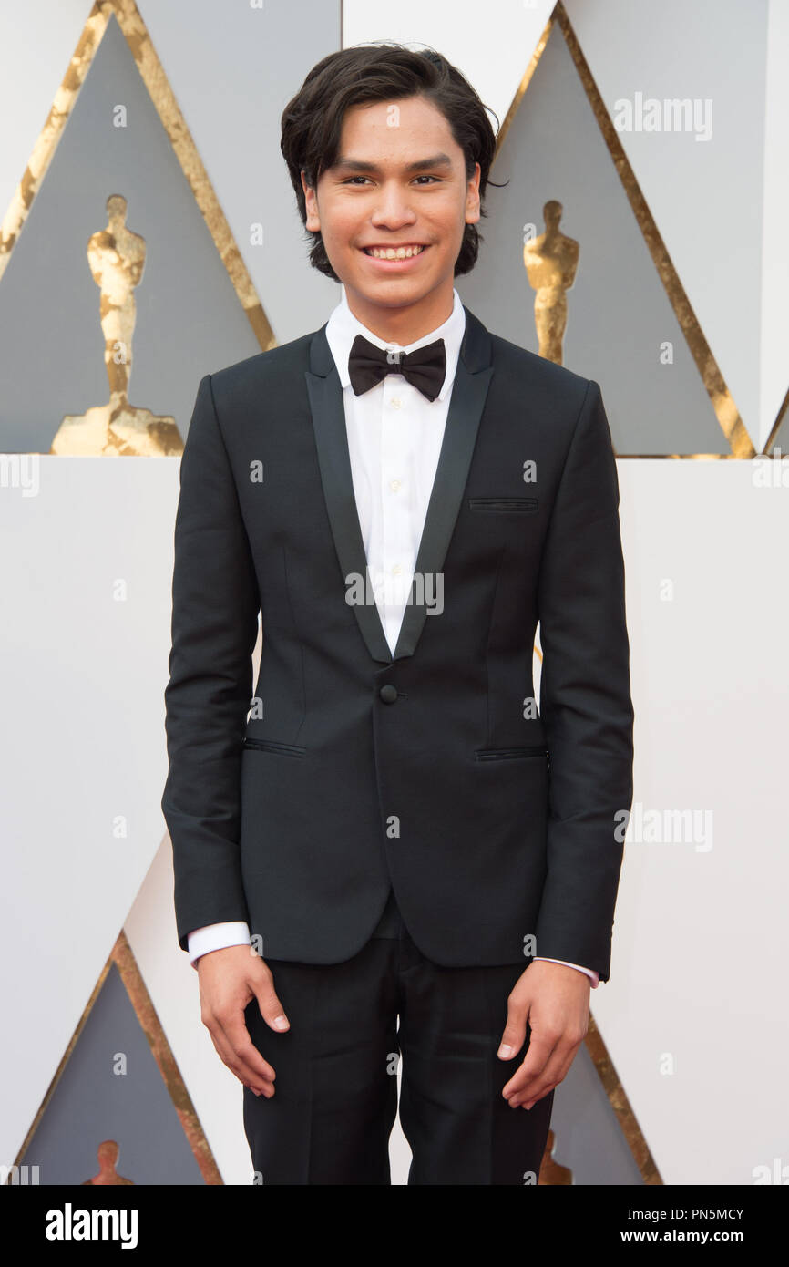 Forrest goodluck hi-res stock photography and images - Alamy