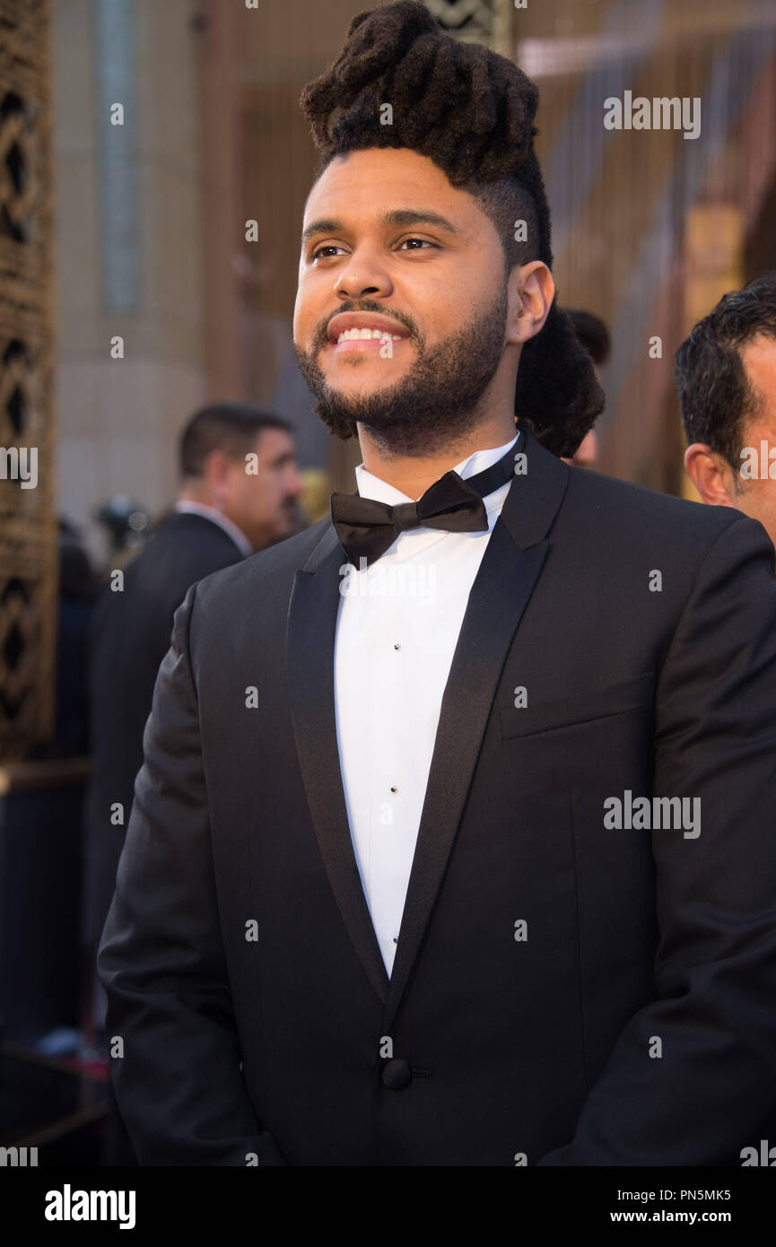 The weeknd 28 - polabeach