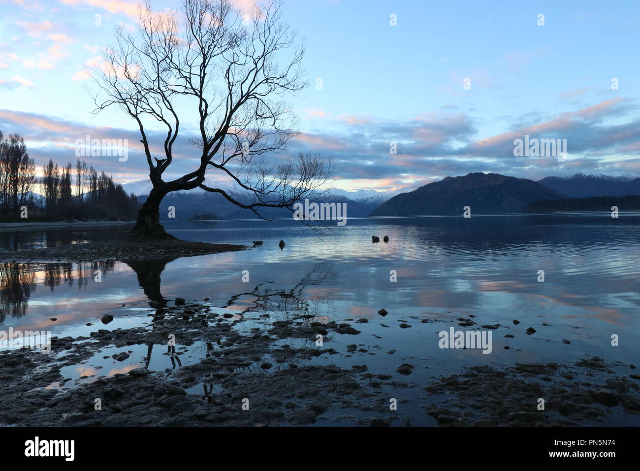 Lake Wanaka, New Zealand Stock Photo - Alamy