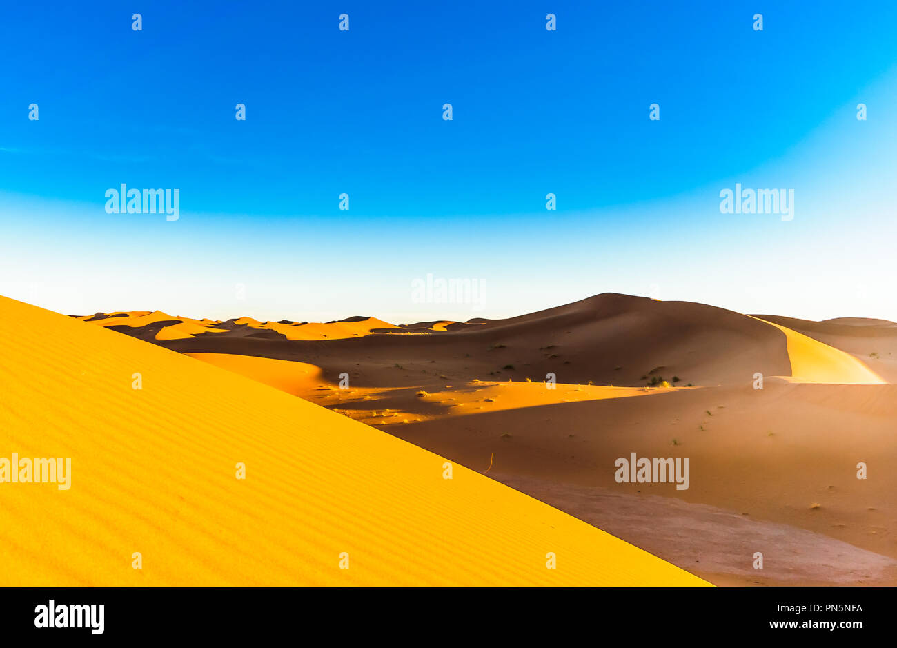 Desert landscape of the Sahara next to Mhamid in Morocco Stock Photo ...