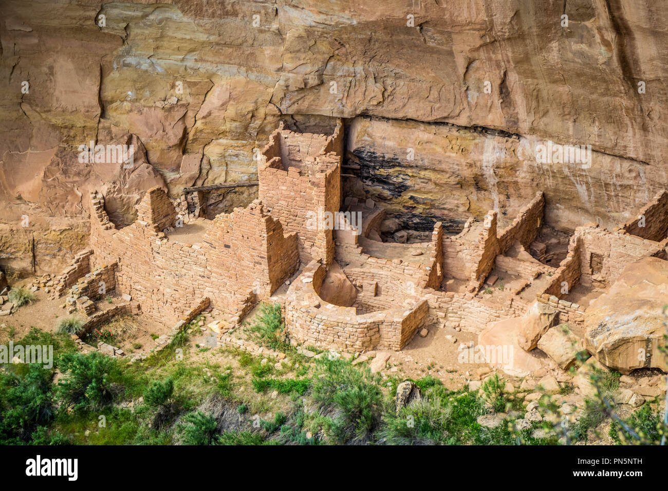 A Square Tree House in Mesa Verde National Park, Colorado Stock Photo ...