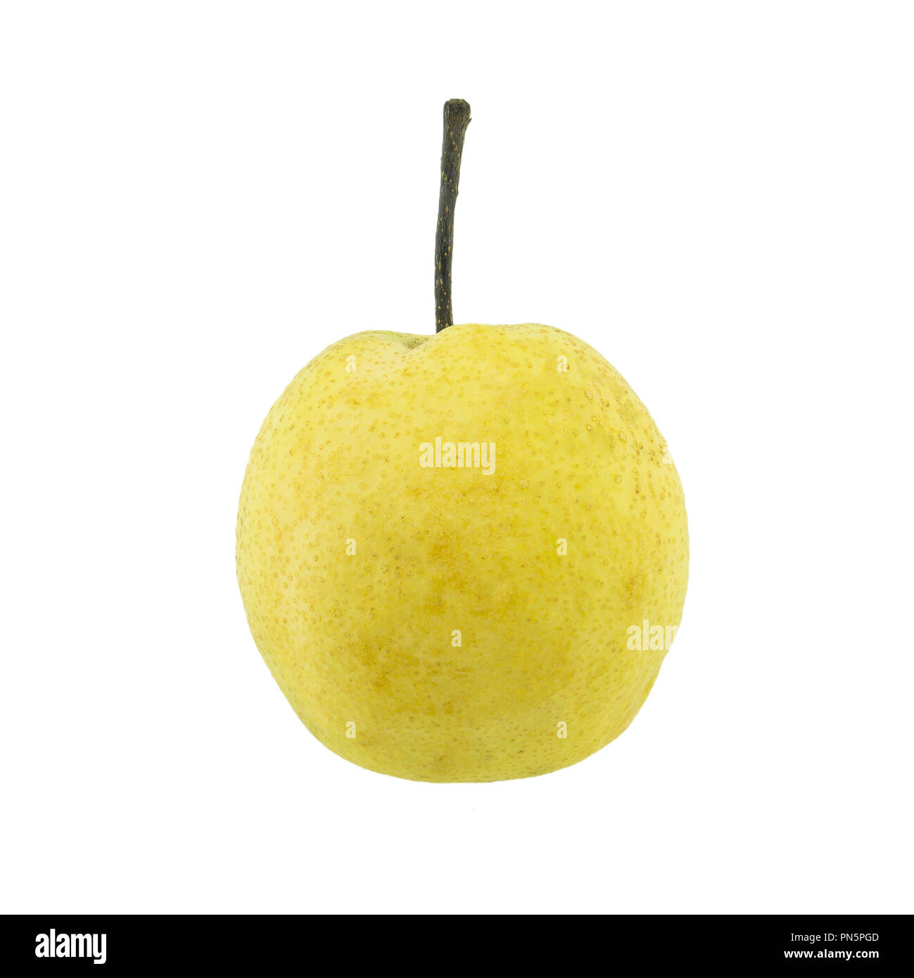 Chinese pear isolated on white background Stock Photo - Alamy