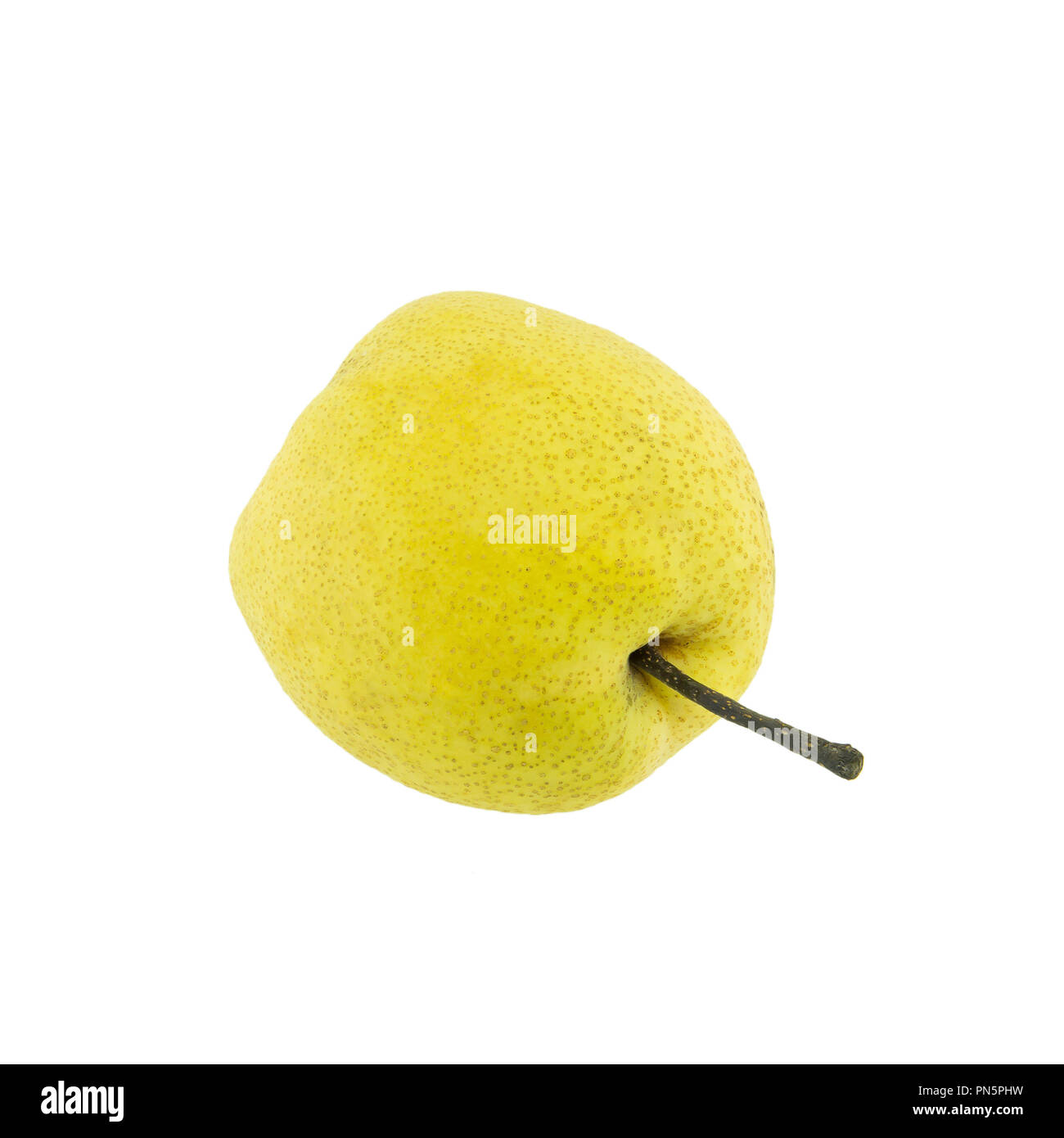 Chinese pear isolated on white background Stock Photo - Alamy