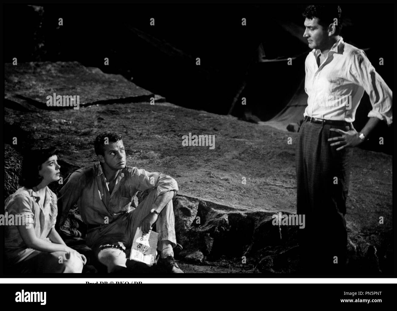 Phyllis Kirk Phyllis Kirk Phyllis Stock Photos & Phyllis Kirk Phyllis ...