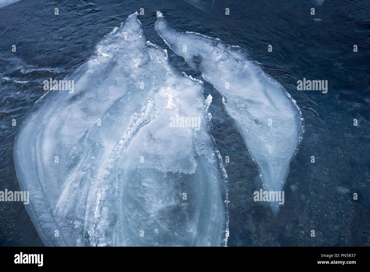 Floating icebergs as ice sculpture shapes in glacial water in South ...