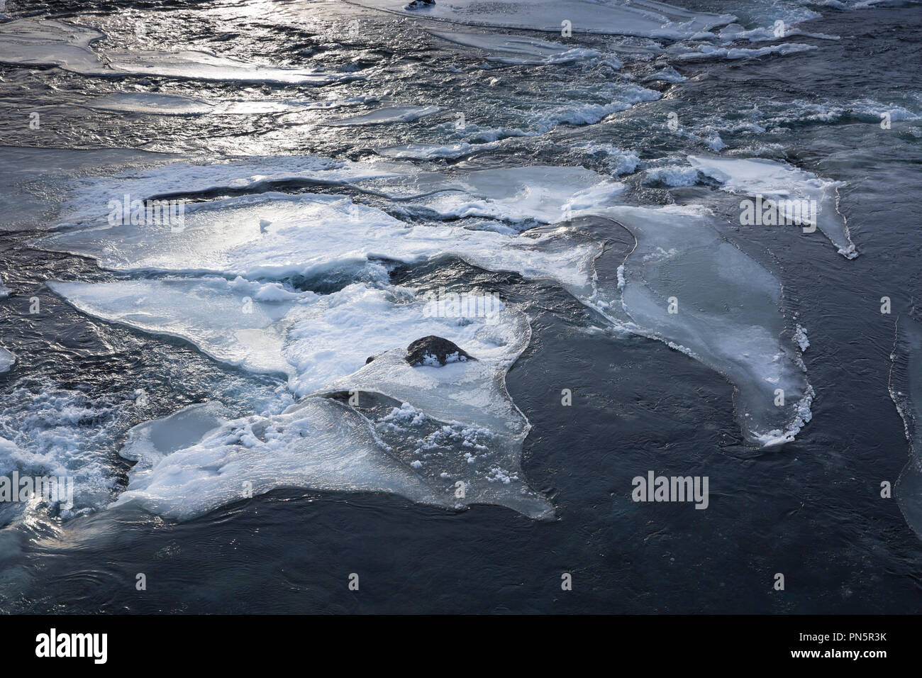 Floating iceberg as ice sculpture shapes in glacial water in South ...