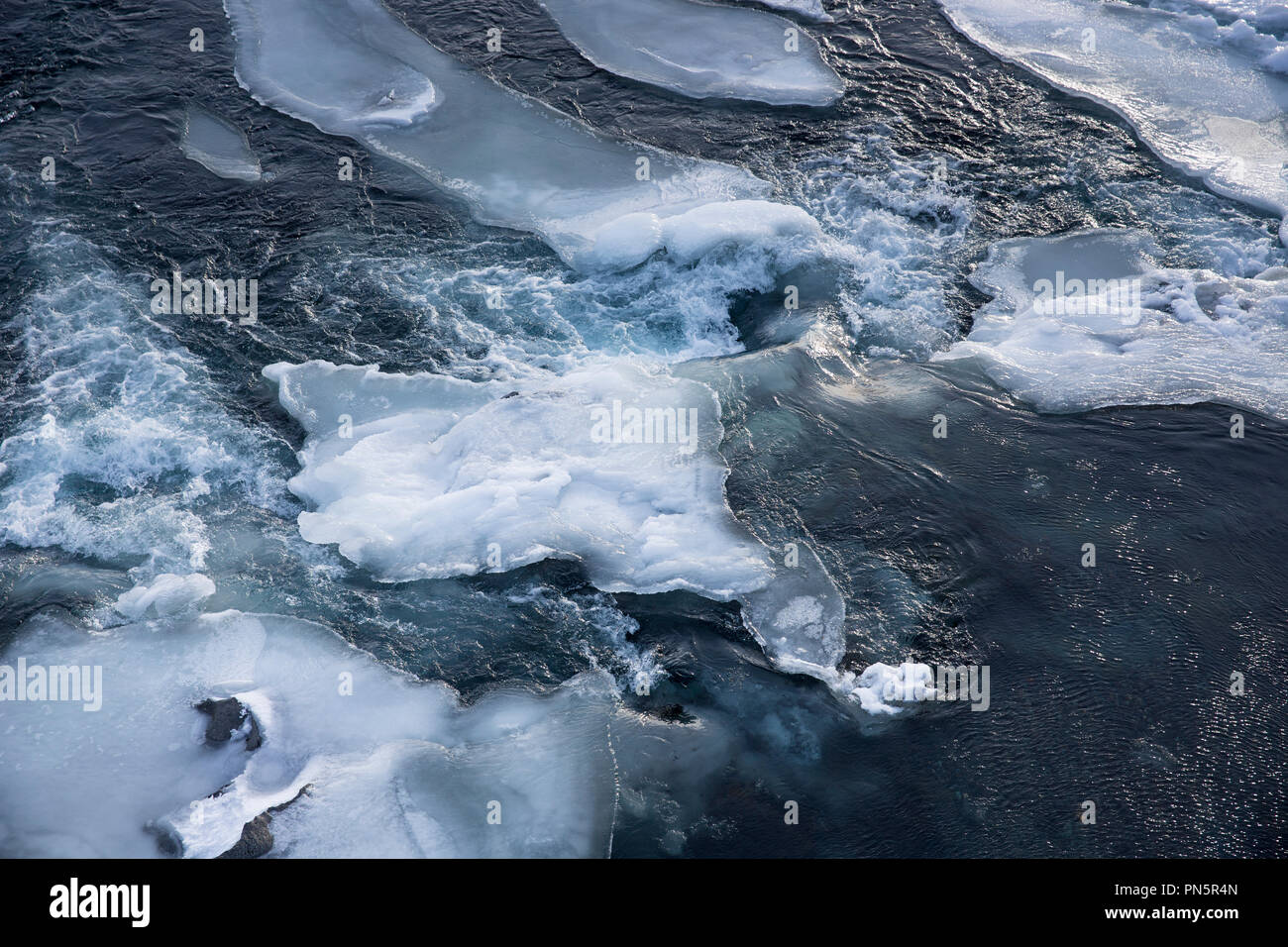 Floating iceberg as ice sculpture shapes in glacial water in South ...