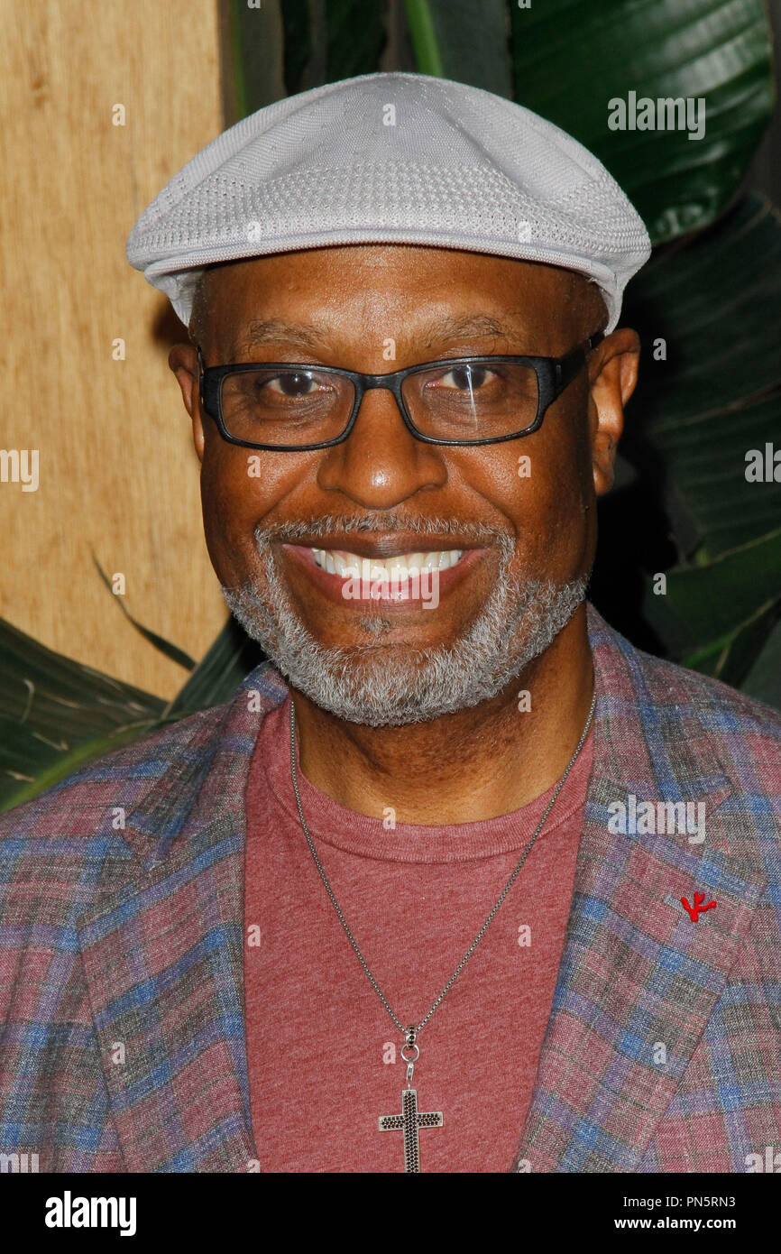 James Pickens Jr. at the World Premiere of Warner Bros. Pictures' "The ...