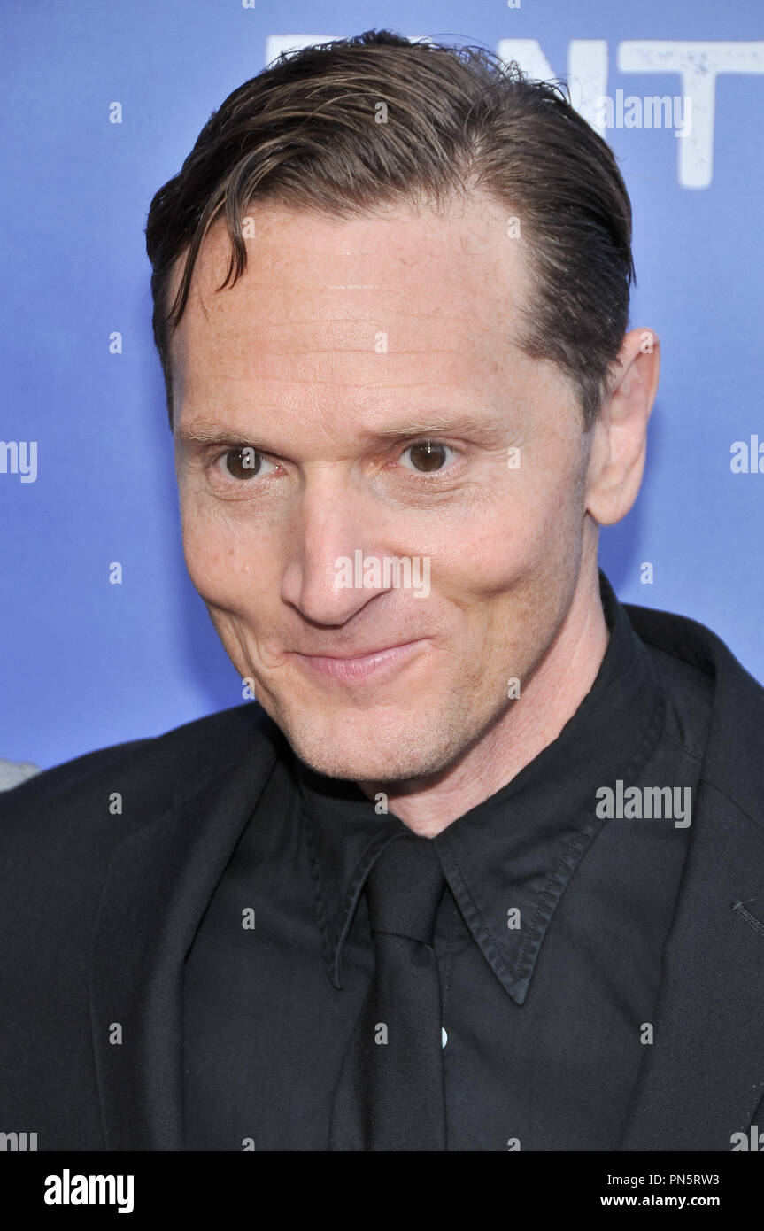 Matt Ross Captain Fantastic High Resolution Stock Photography and ...