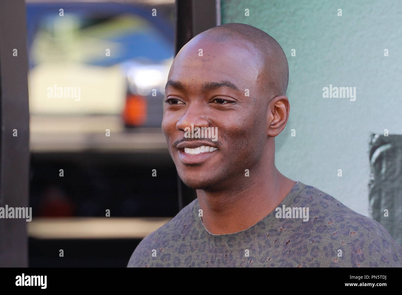 Bj Mitchell's Instagram, Twitter & Facebook on IDCrawl