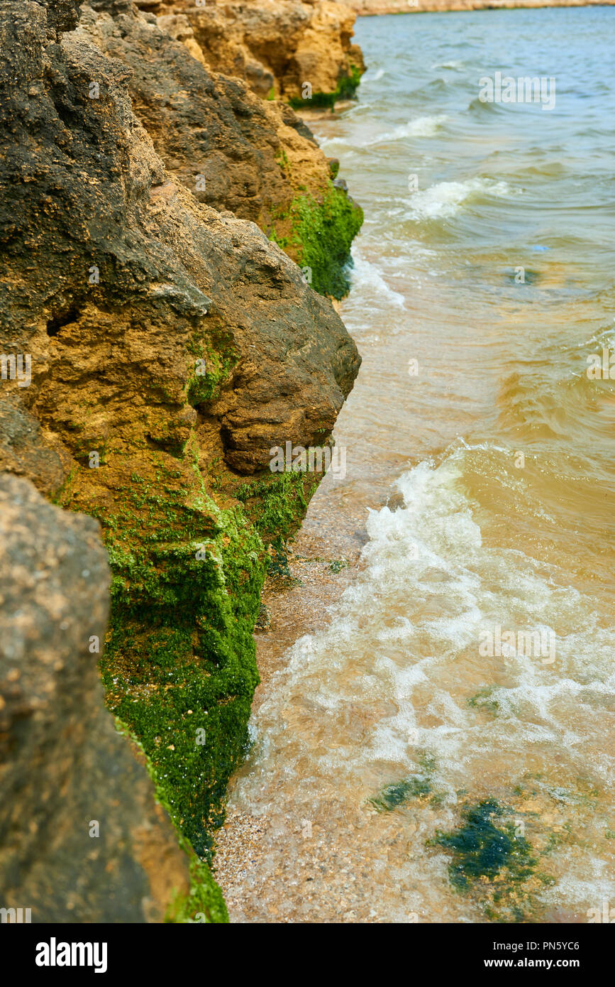 beautiful sea landscape, closeup of stone on the beach, sea coast with ...