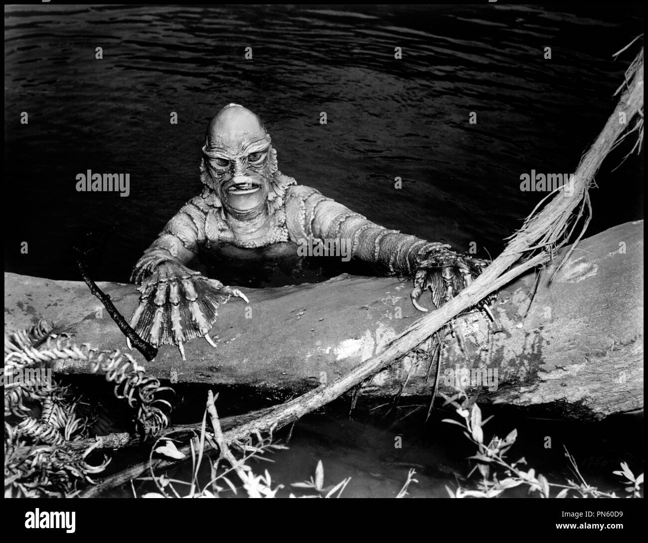 Creature From The Black Lagoon Stock Photos & Creature From The Black ...