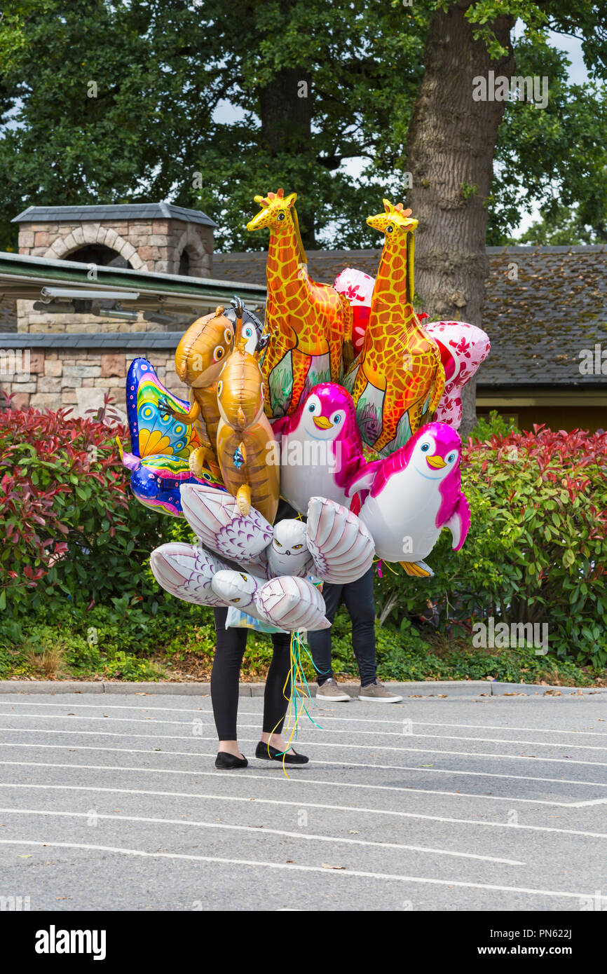 balloon seller at Longleat Stock Photo - Alamy