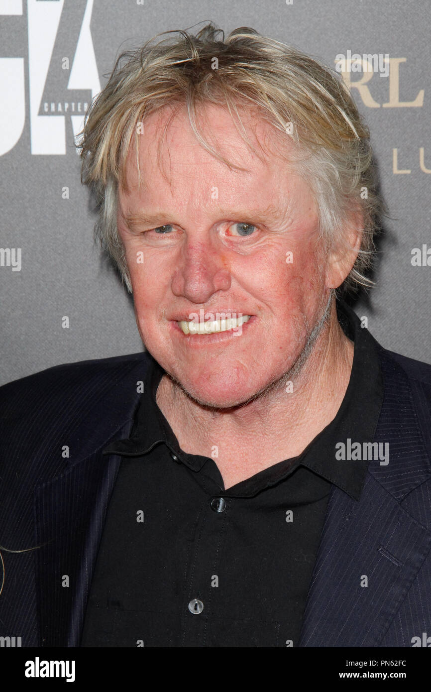 Gary Busey at Summit Entertainment's Los Angeles Premiere of "John Wick ...