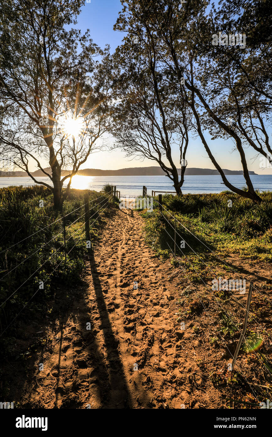 Sandy pathway leading to sun rising over ocean and beach Stock Photo ...