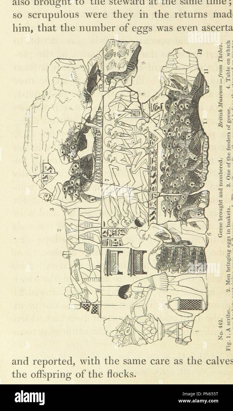 Image from page 168 of '[Manners and Customs of the ancient Egyptians ...