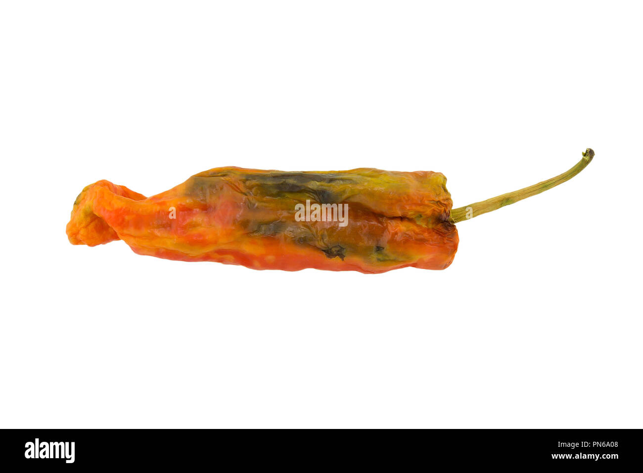 rotten pepper isolated on white background Stock Photo - Alamy