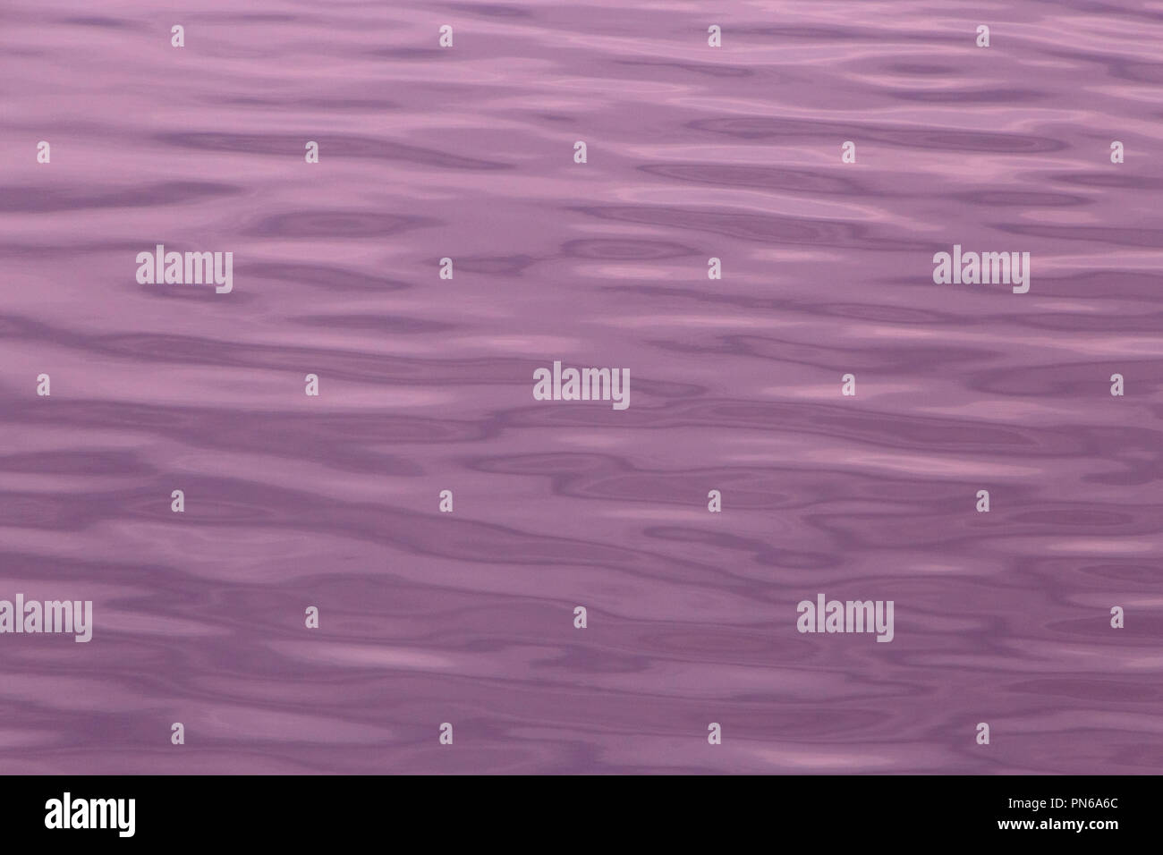 abstract purple background with water ripples Stock Photo - Alamy