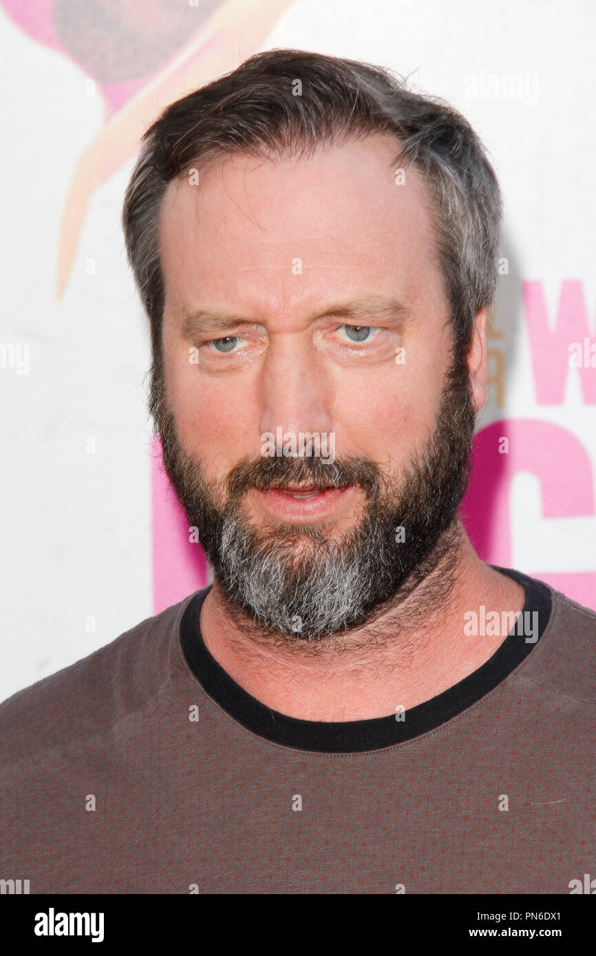 Tom Green at the Premiere of Warner Bros. Pictures' "War Dogs" held at ...