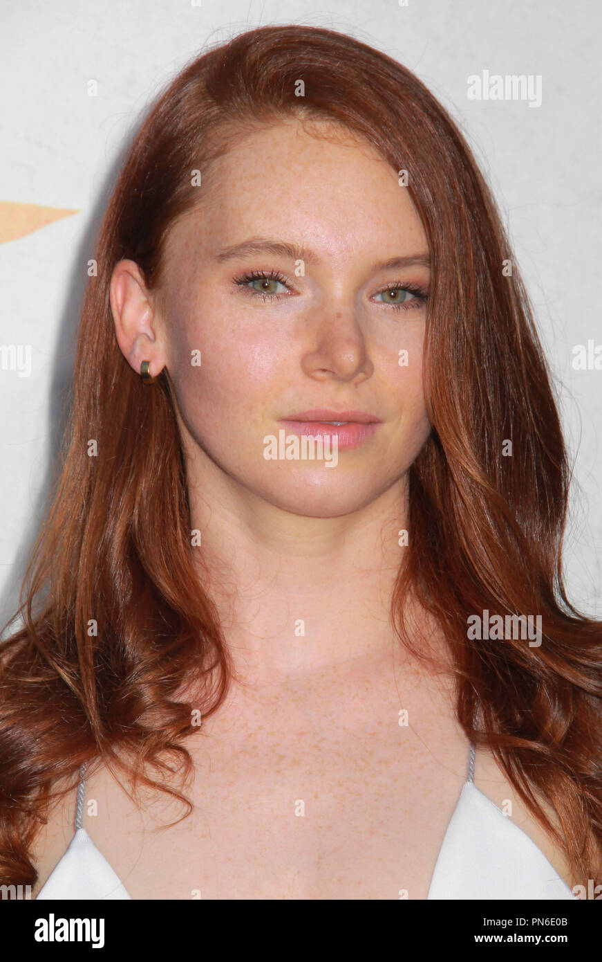 Shelby steel red carpet event hi-res stock photography and images - Alamy