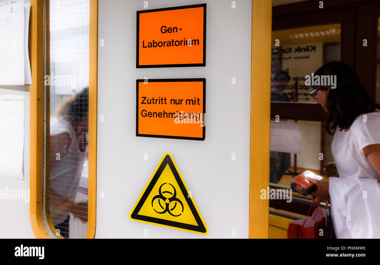 Cell culture laboratory hi-res stock photography and images - Alamy