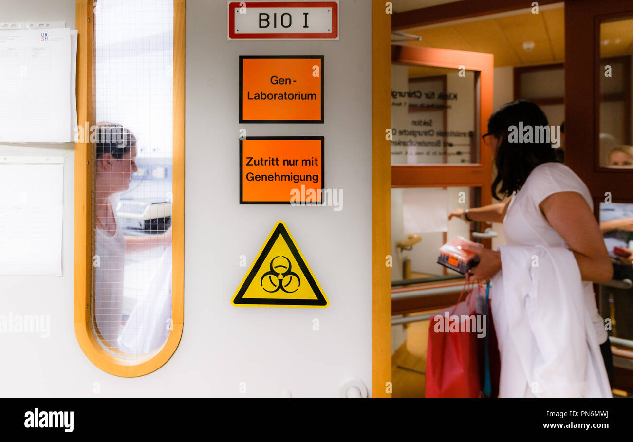 02 August 2018, Schleswig-Holstein, Luebeck: Warning signs with the ...
