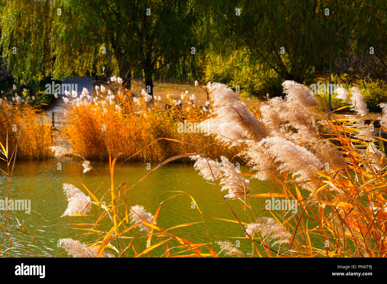 September 20, 2018 - Beijin, Beijin, China - Beijing, CHINA-Autumn ...