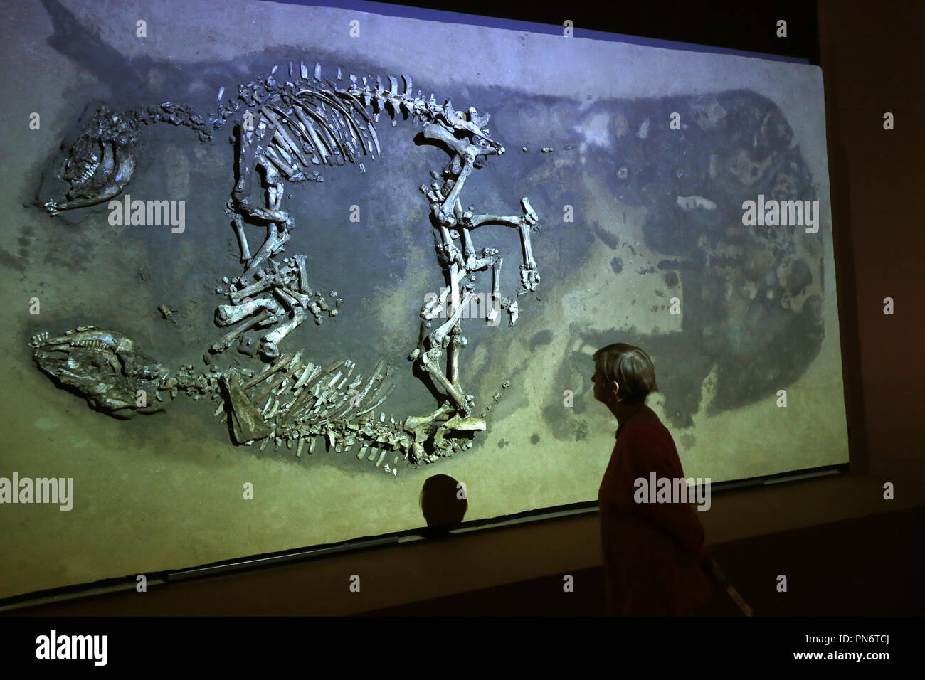 1000 years bc hi-res stock photography and images - Alamy