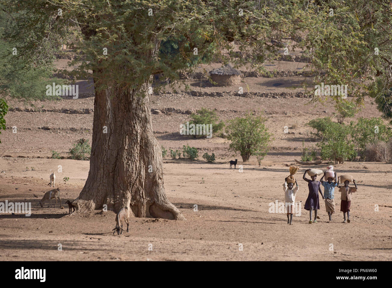 Nuba village hi-res stock photography and images - Alamy