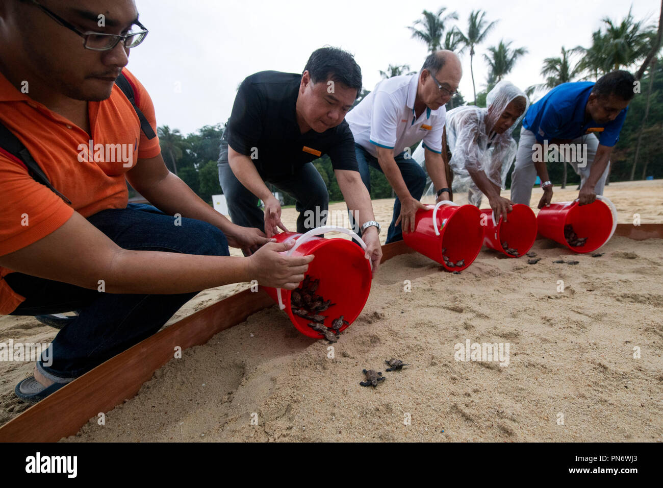 Sentosa development corporation hi-res stock photography and images - Alamy