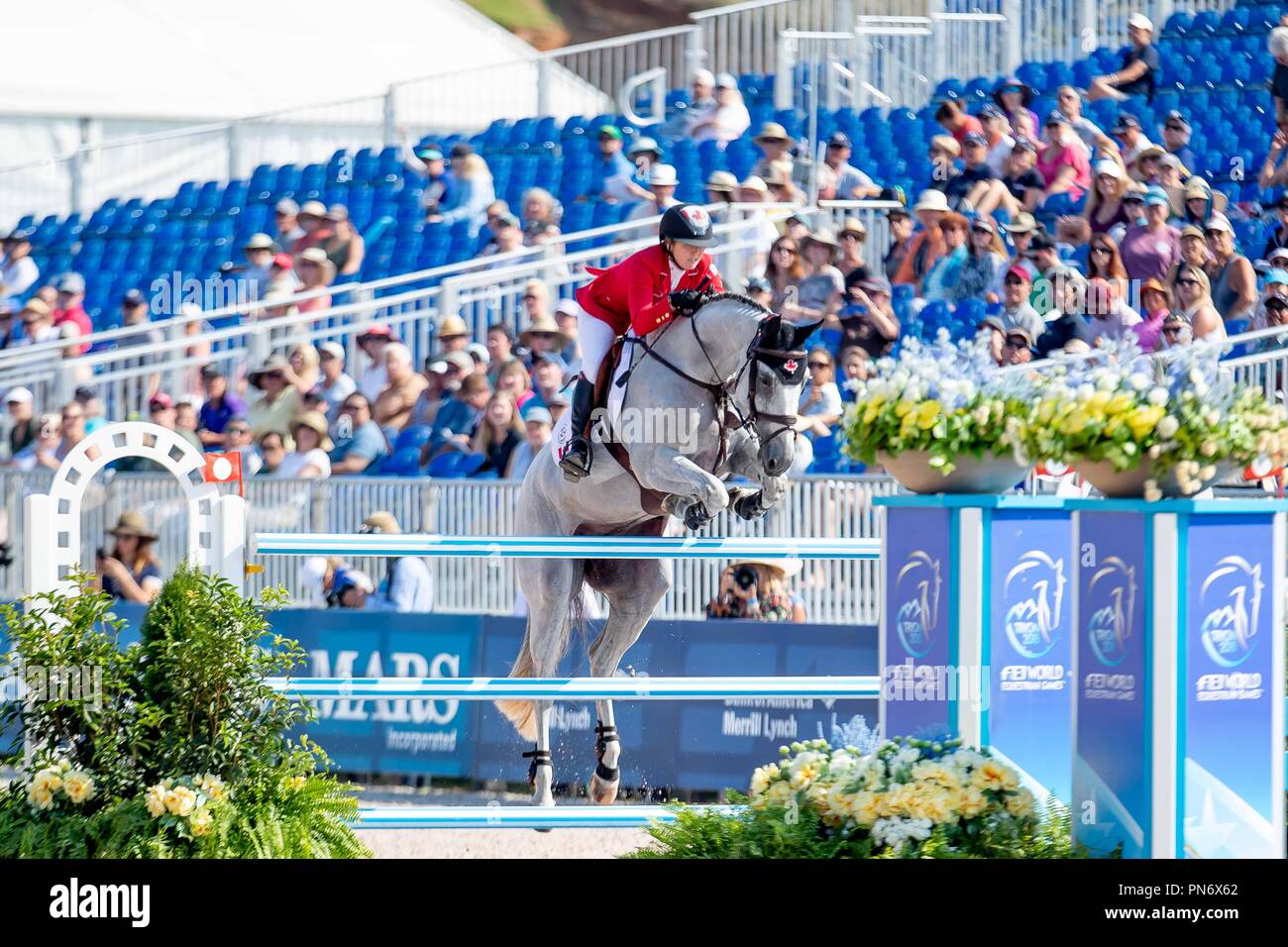 Kara Chad. Carona. CAN. Show Jumping. Team and individual Second ...