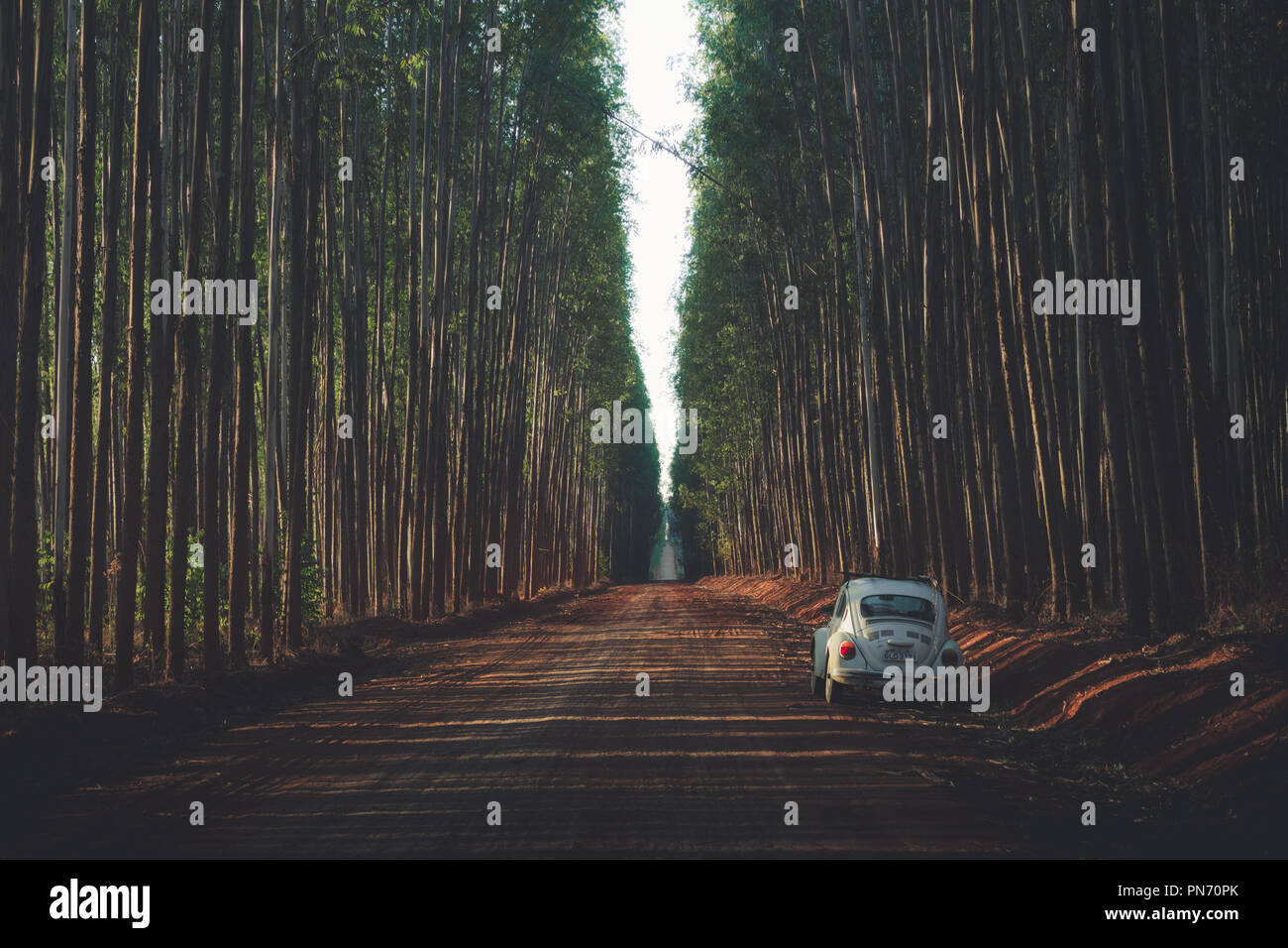 Take new paths Stock Photo - Alamy