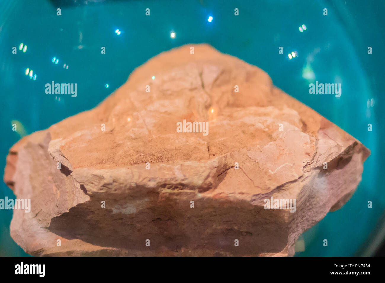 Shale mineral stone specimen from mining and quarrying industries ...