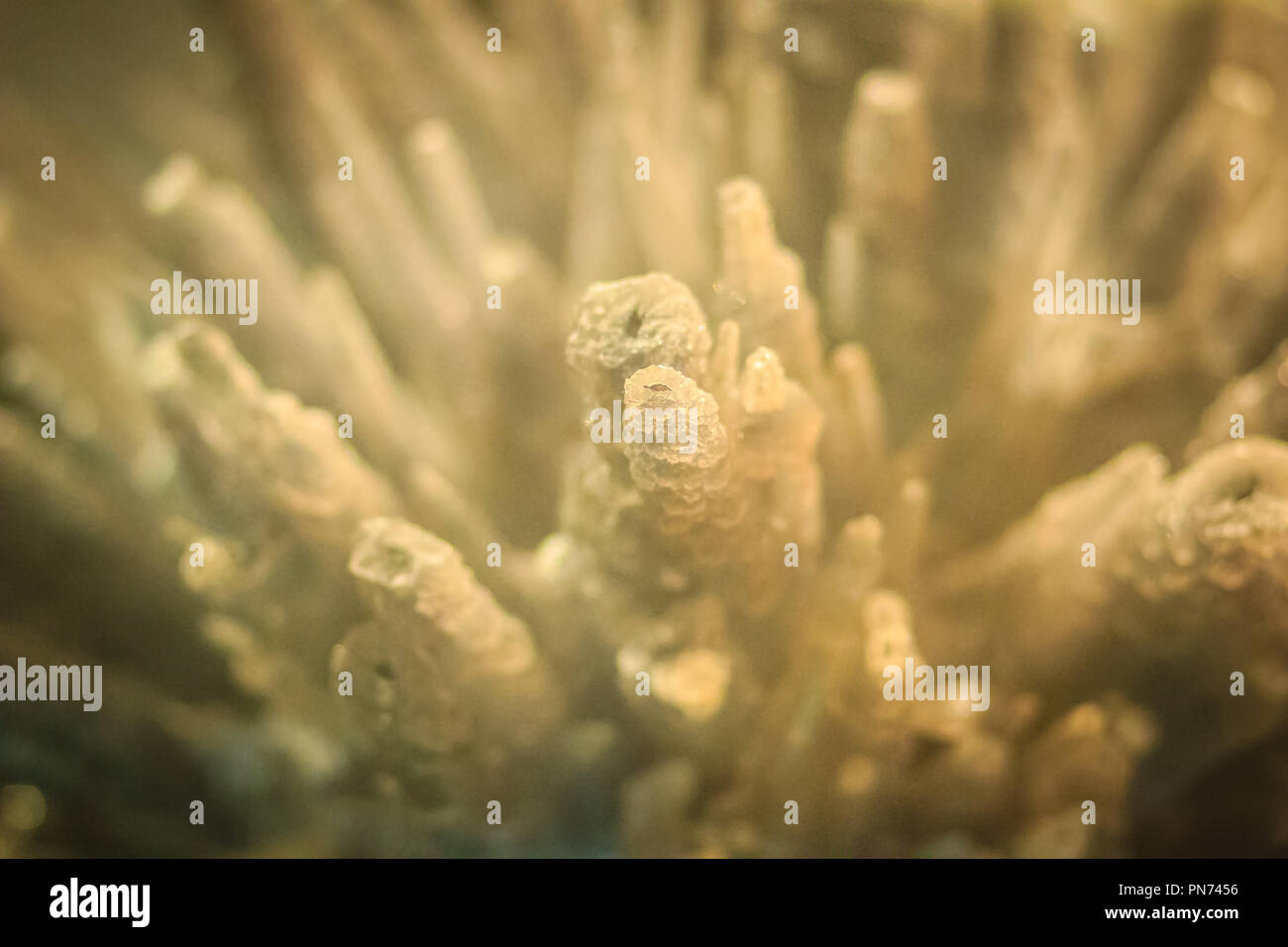 Fluorite stalactitic habit rock specimen from mining and quarrying ...