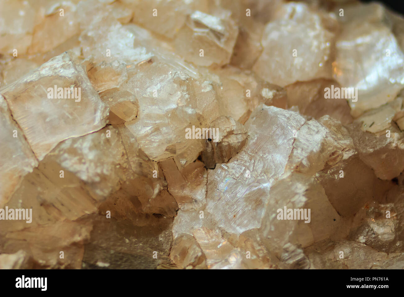 Gypsum lamellar habit or lamellar crystals of gypsum rock specimen from ...