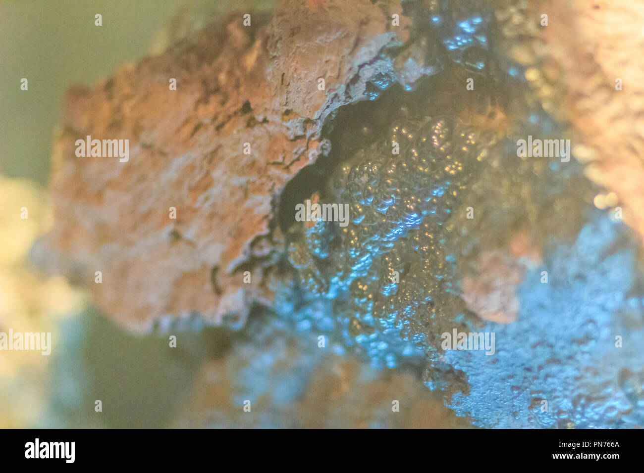 Hematite reniform habit rock specimen from mining and quarrying ...