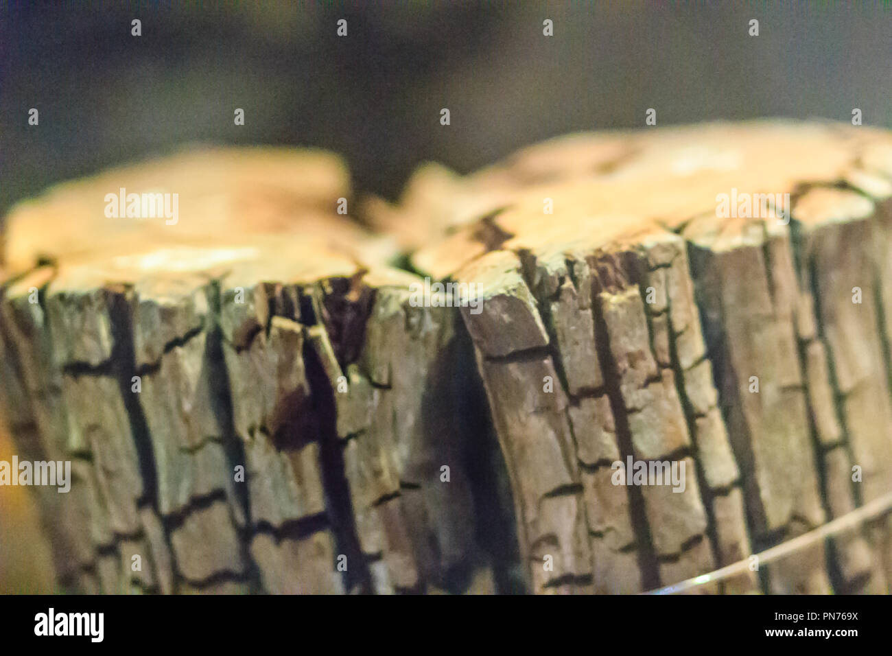 Black peat coal specimen formed from timber. Peat, or turf, is an ...