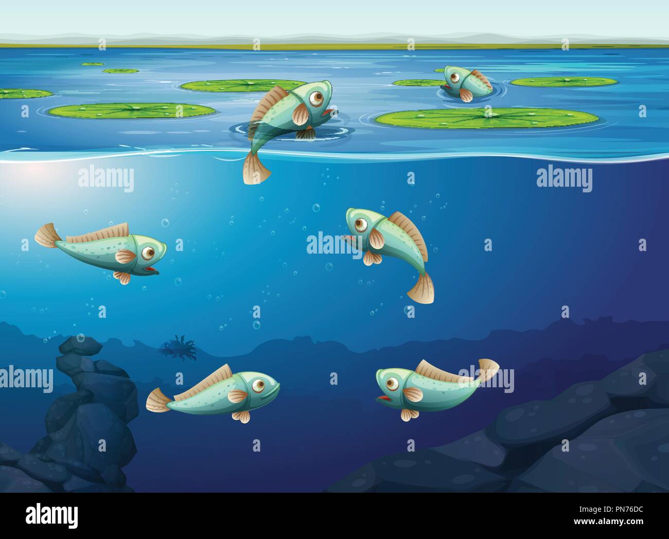 Set of fish underwater illustration Stock Vector Image & Art - Alamy