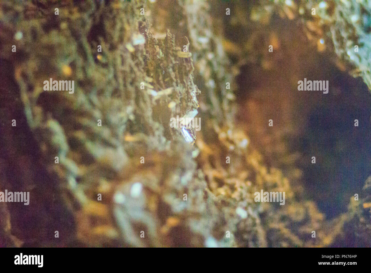 Barite crystal in geothite and hematite as bladed habit stone specimen ...