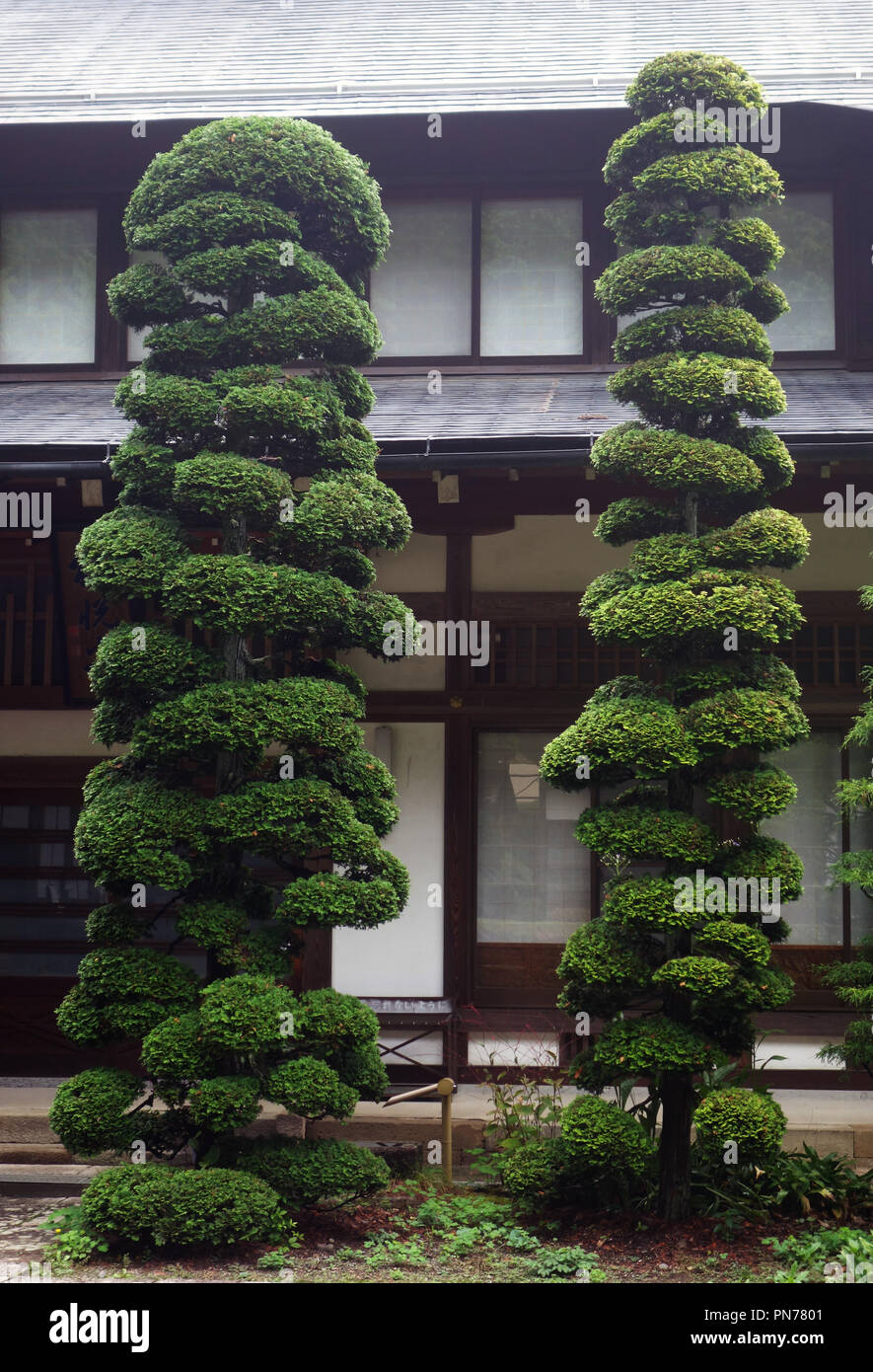 Topiary Gardens In Japan Topiary Garden Japan Hi Res Stock Photography
