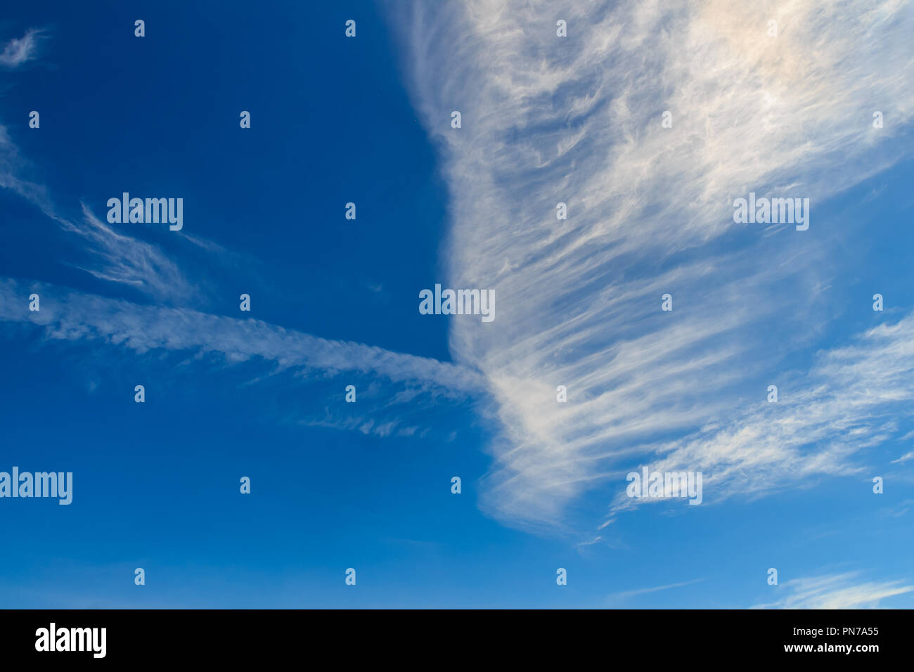 Sparse clouds in the blue sky morning background. Fluffy clouds in the ...