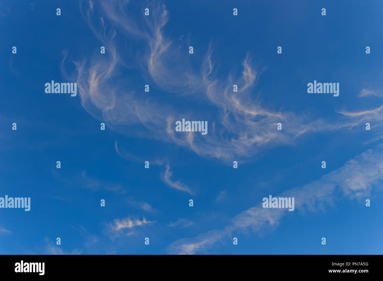 Sparse clouds in the blue sky morning background. Fluffy clouds in the ...