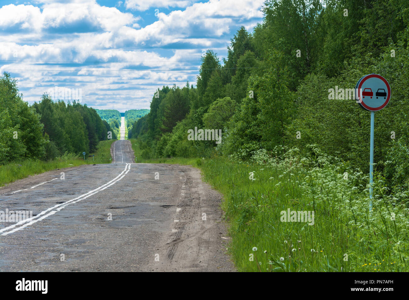 Asphalt road, disappearing into the distance among the green forest on ...