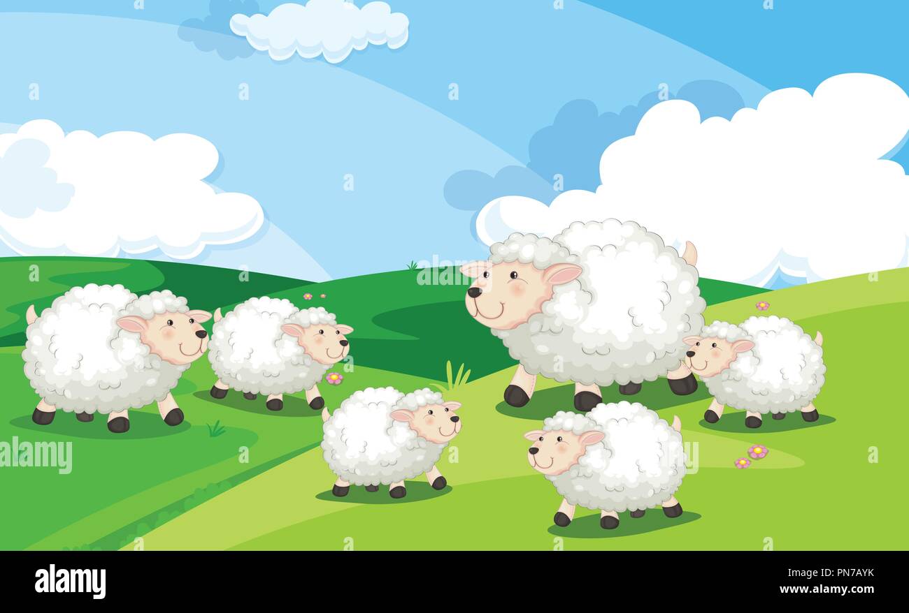 Sheep in field Stock Vector Images - Alamy