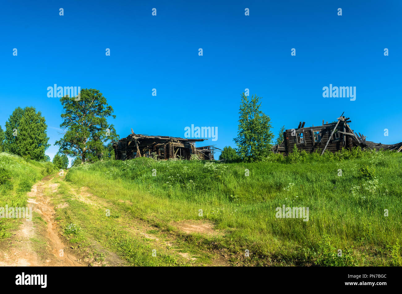 A ruined house in an abandoned village in a Sunny summer day, Russia ...