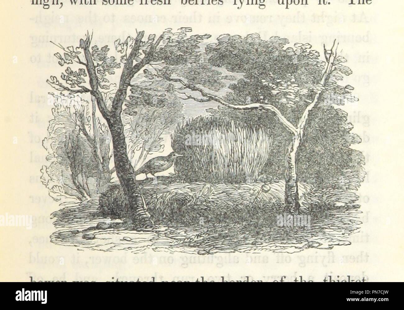 Stanley e h hi-res stock photography and images - Alamy